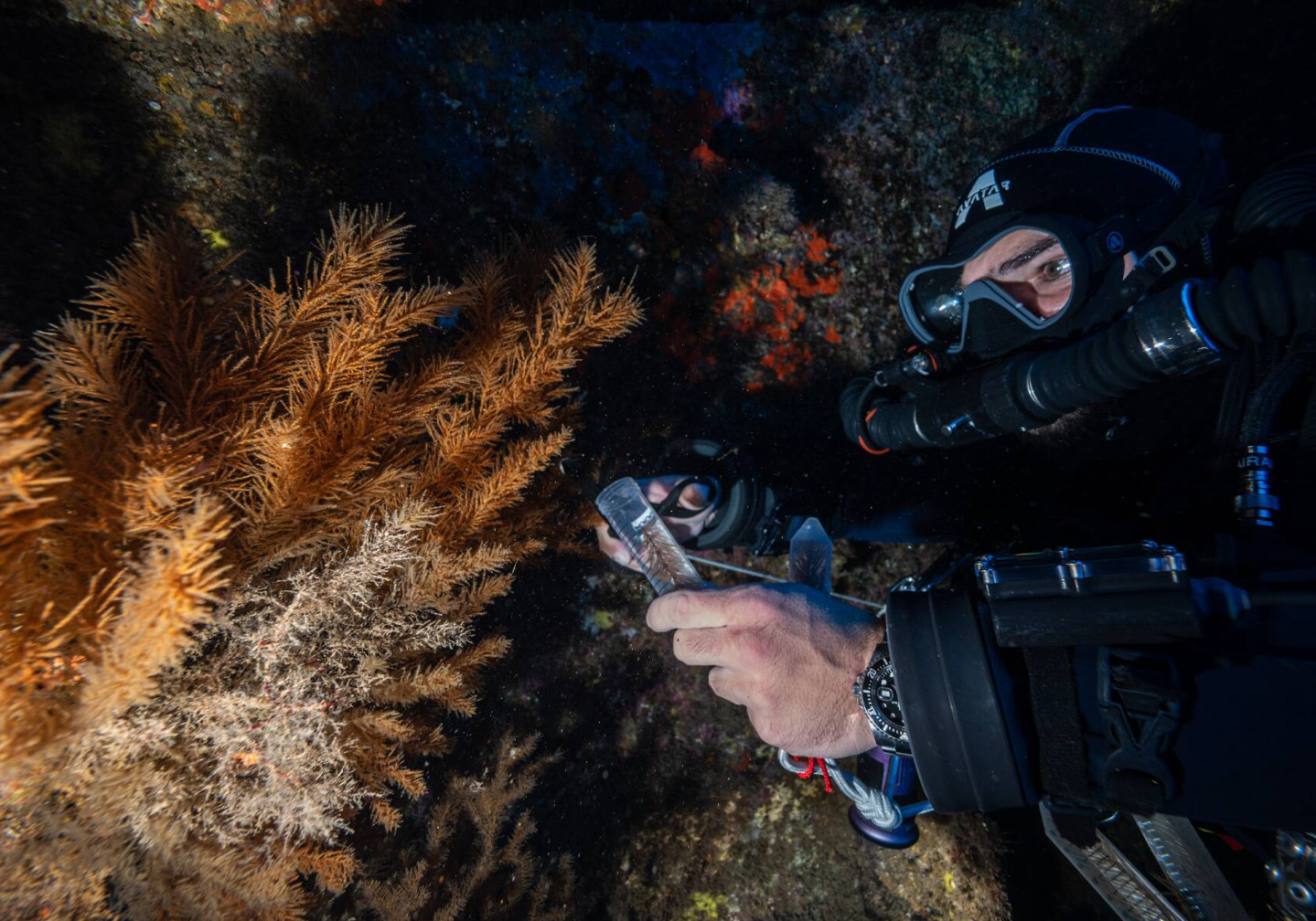 How much does Rolex spend on its Perpetual Planet initiative ...